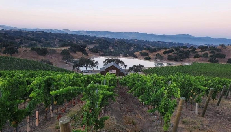 Nolan Vineyards - Nolan Capital